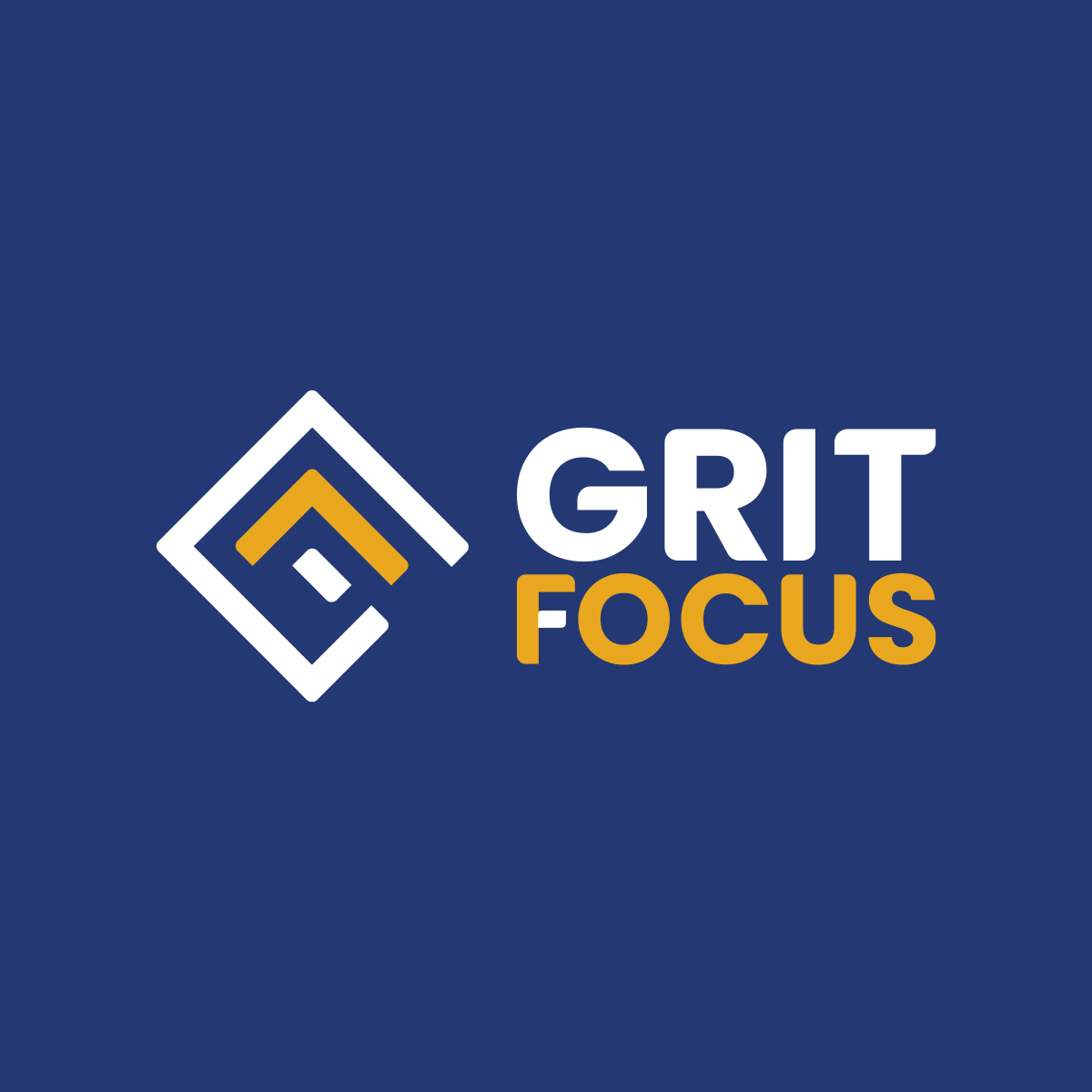 Servicii Consultanta Financiara - Grit Focus